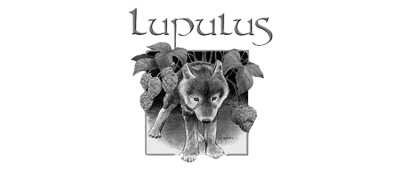 Lupulus Blond of Bruin/Donker of Winterbier online kopen | DrankDozijn.nl